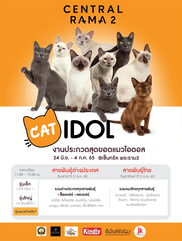 งาน Cat Idol : งานแสดงสินค้า 2568 - 2569 งานแสดงสินค้าทั่วไทย จองบูธ ...