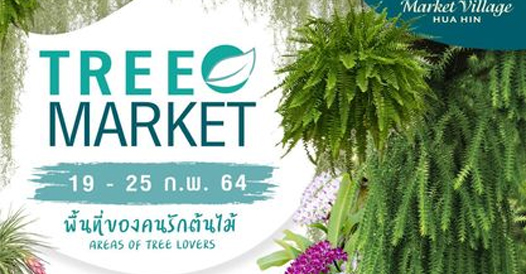 TREE MARKET ตลาดของคนรักต้นไม้ , | ข่าวทำเลค้าขาย